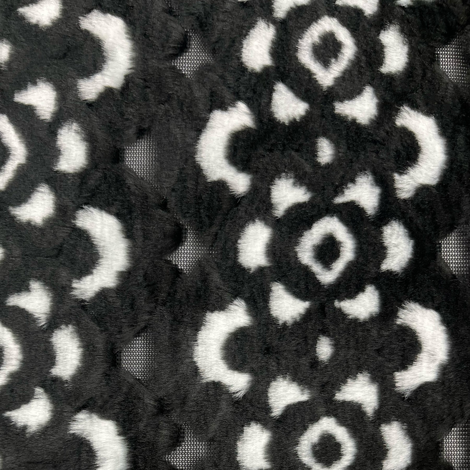 ELOTEX INTERNATIONAL FABRIC – Elotex Fabric