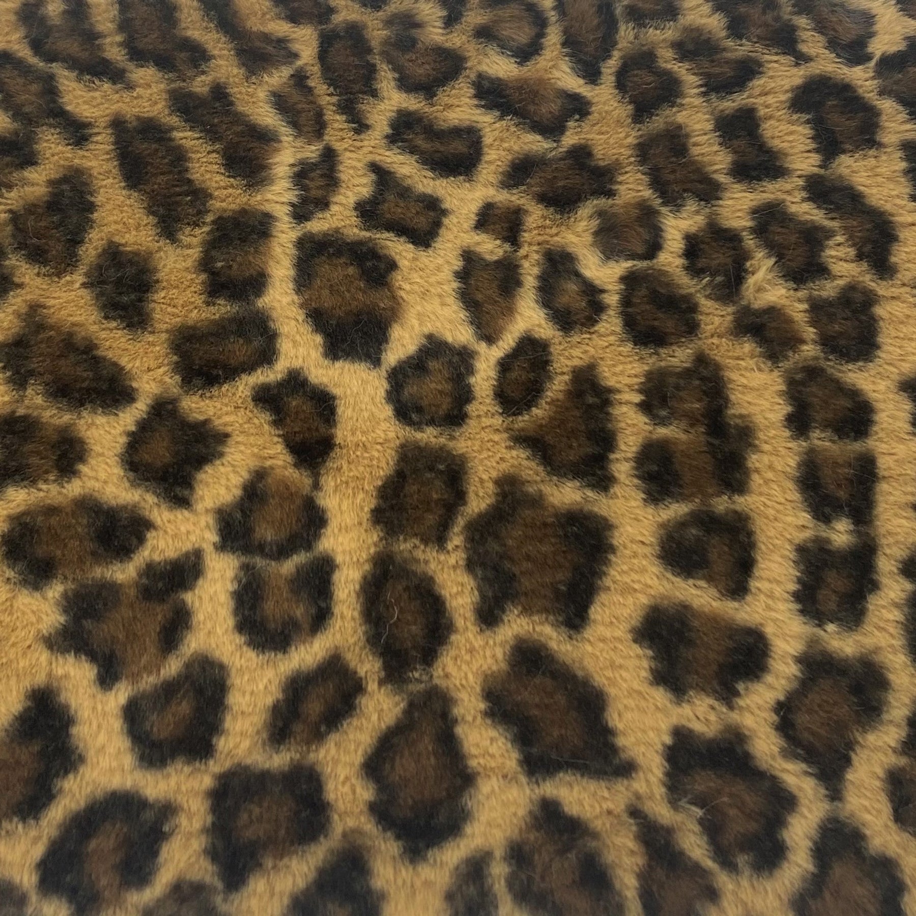 TEDDY BEAR SCF SHORT HAIR FUR – Elotex Fabric